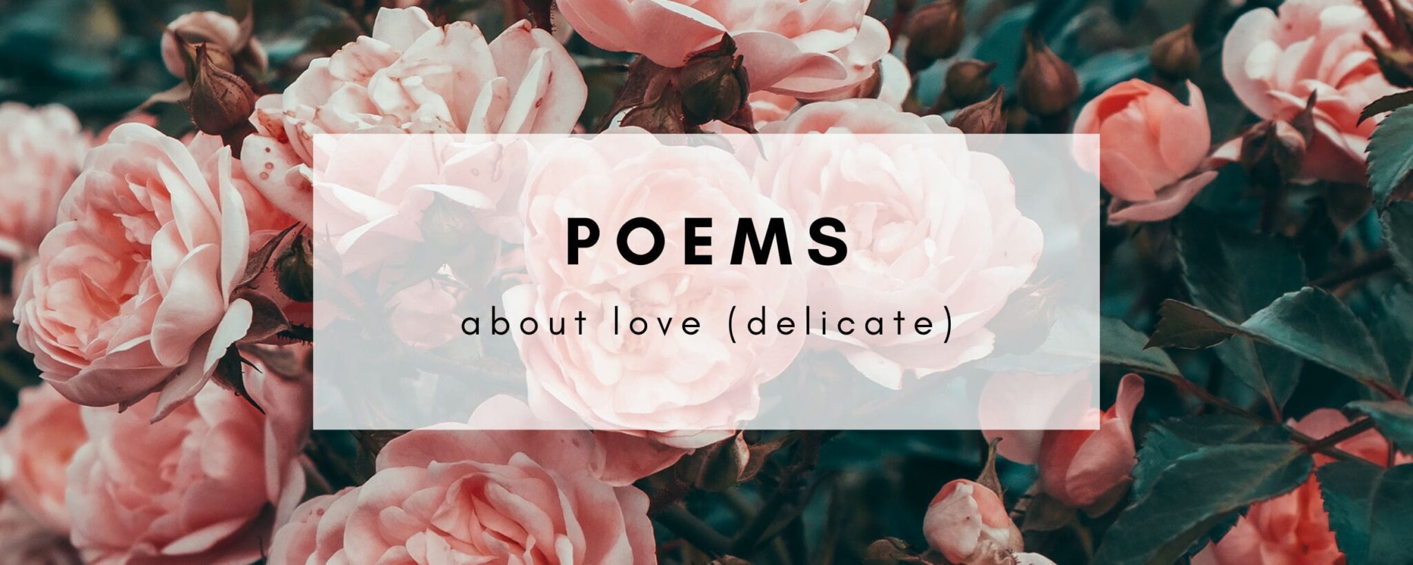 11 Delicate, Modern Poems About Love (To Open Your Heart)