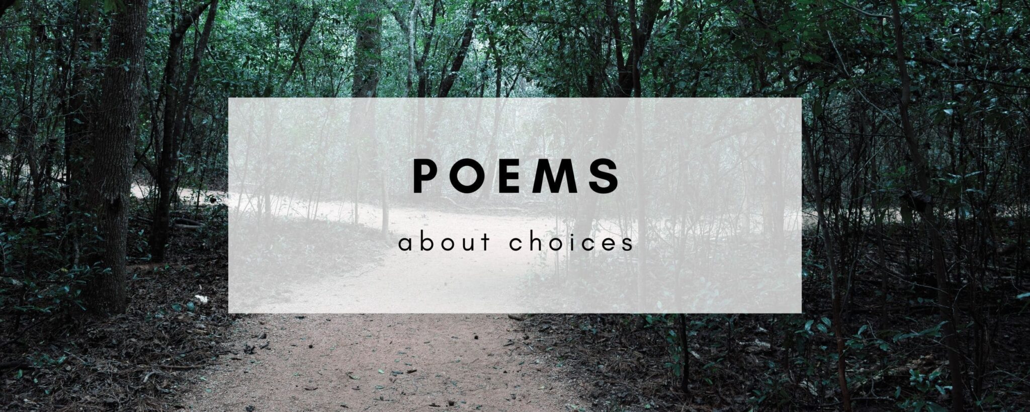11 Life-Affirming Poems About Choices & Soul-Led Decisions